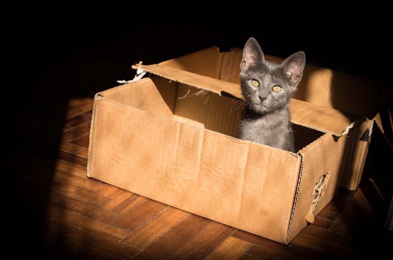 Home | WhatHappensNow.com